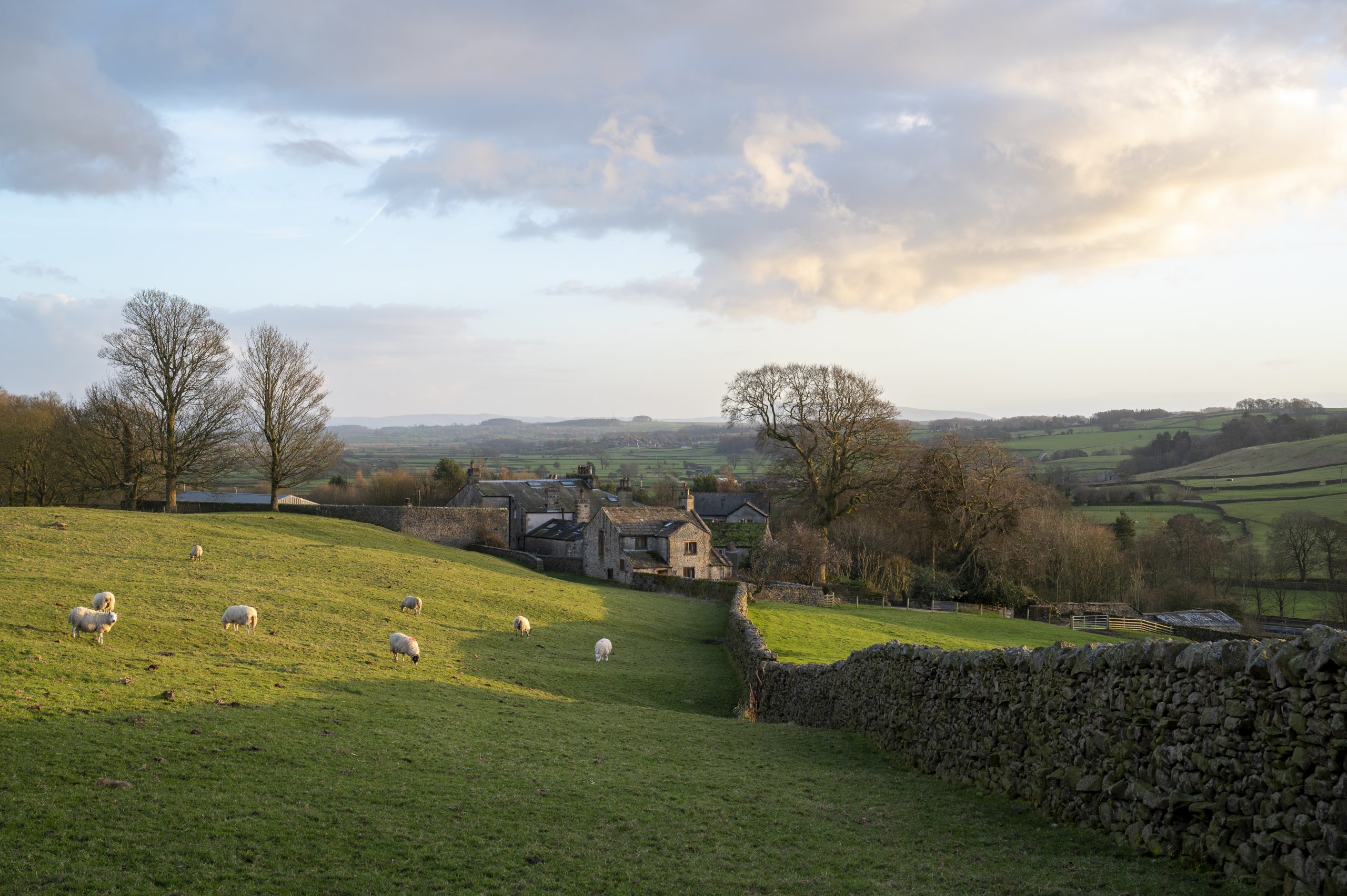 North Yorkshire - March 2024 - Brad Smith photography